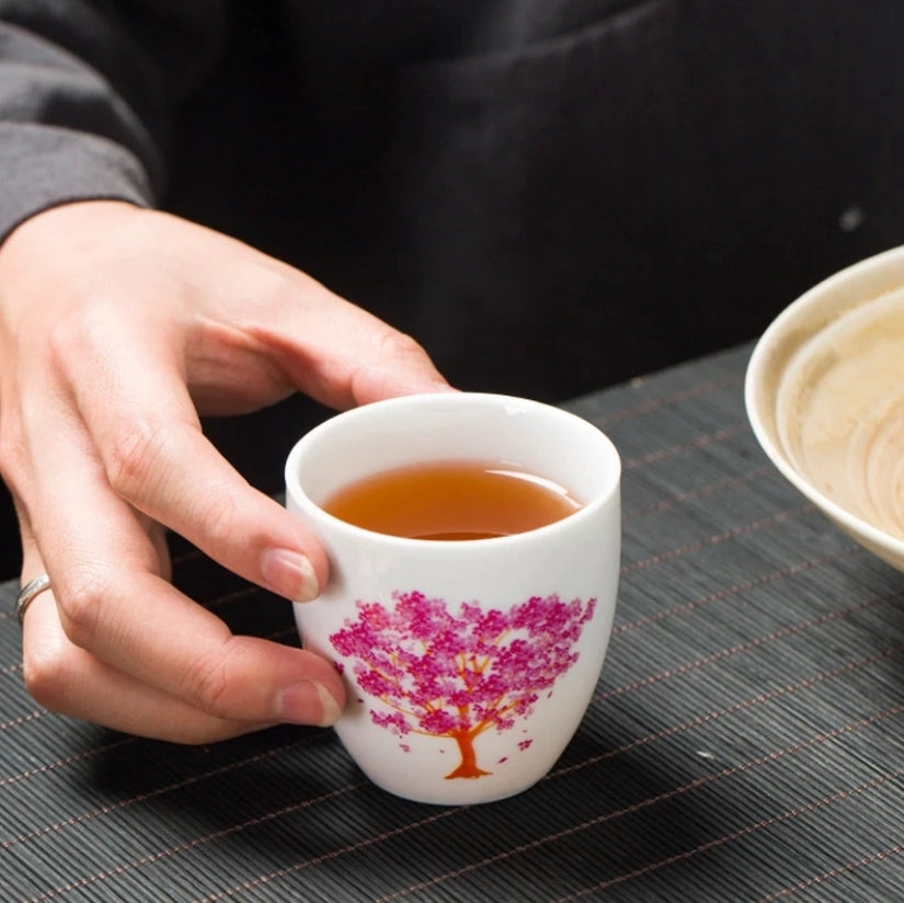 Home – songsys.com